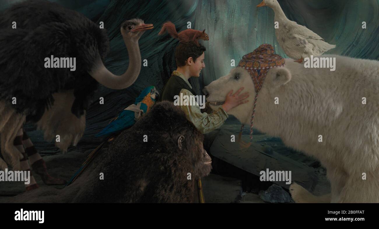 Emma ente -Fotos und -Bildmaterial in hoher Auflösung – Alamy