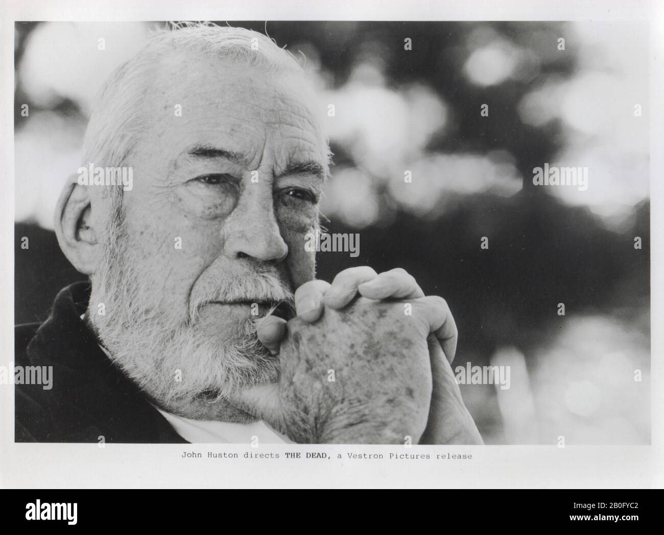 John huston film director -Fotos und -Bildmaterial in hoher Auflösung ...