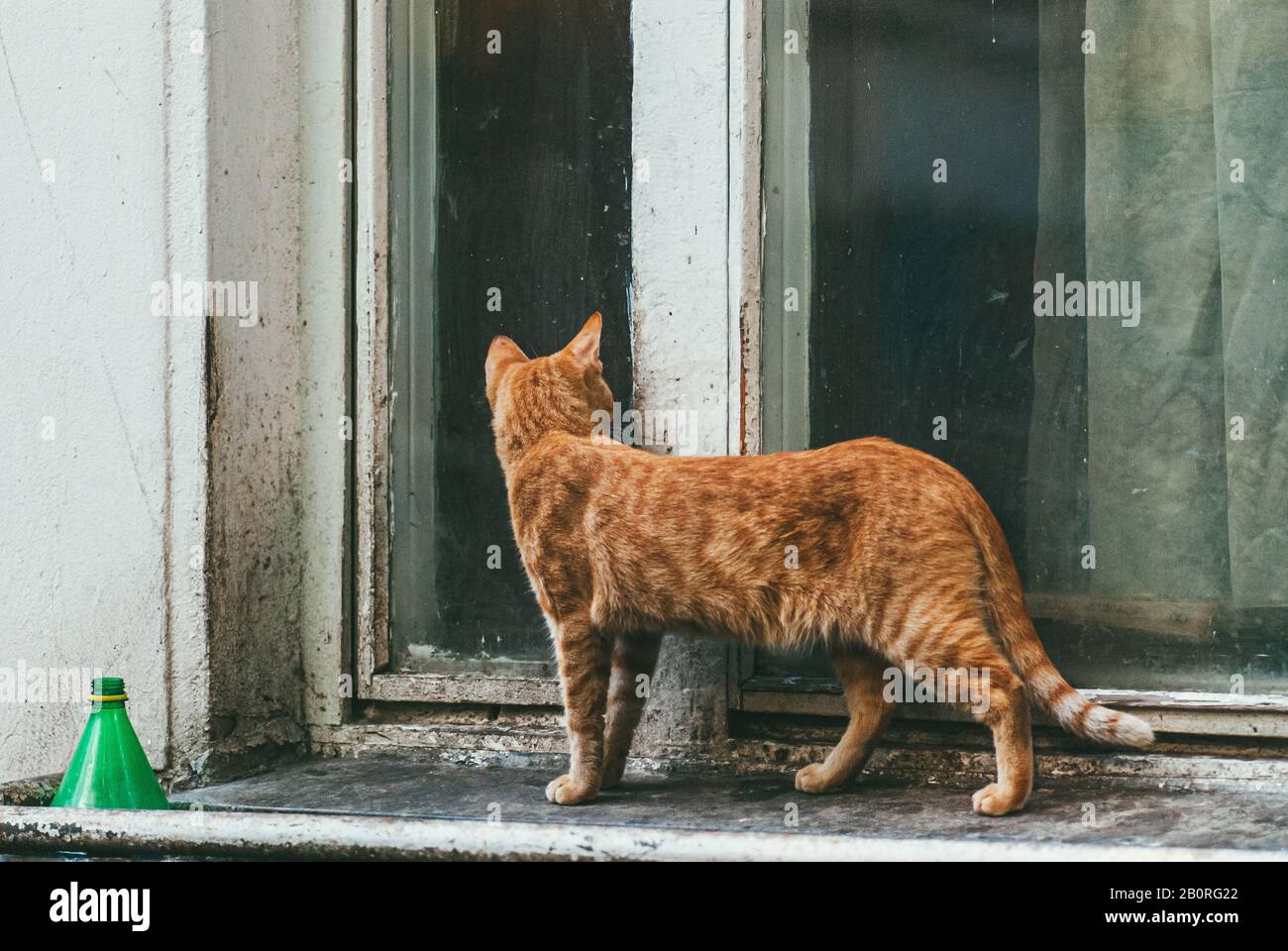 Lustige gesamtansicht -Fotos und -Bildmaterial in hoher Auflösung – Alamy
