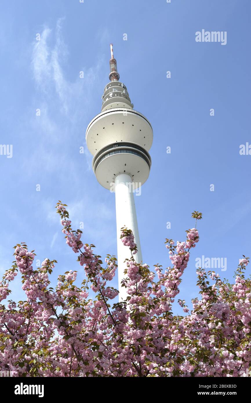 Neue messe hamburg -Fotos und -Bildmaterial in hoher Auflösung – Alamy