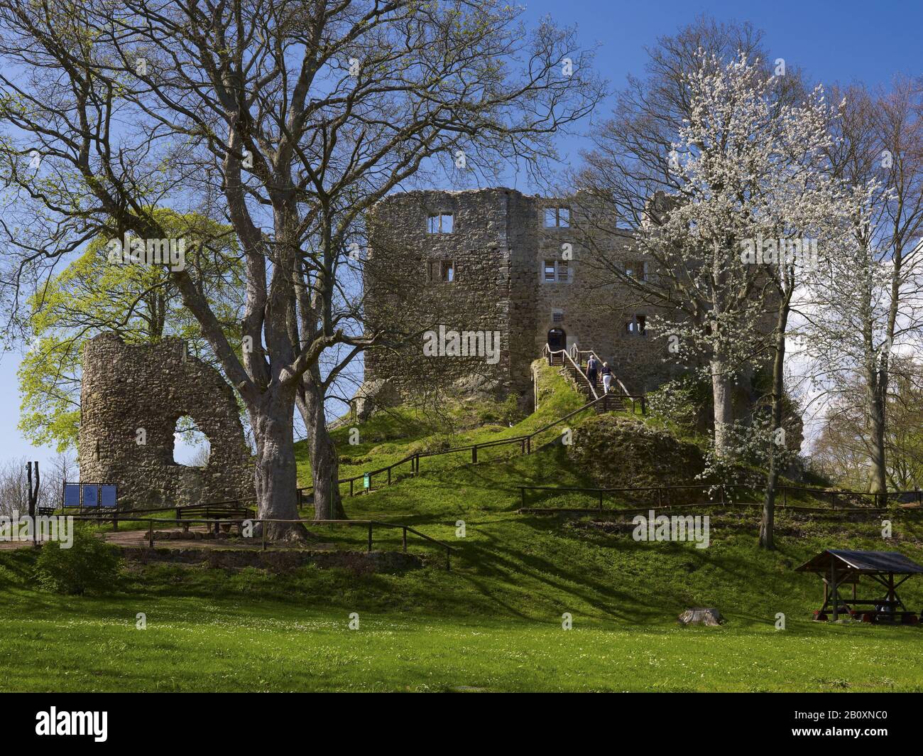 Burgruine Liebenstein bei Bad Liebenstein, Thüringen, Deutschland ...