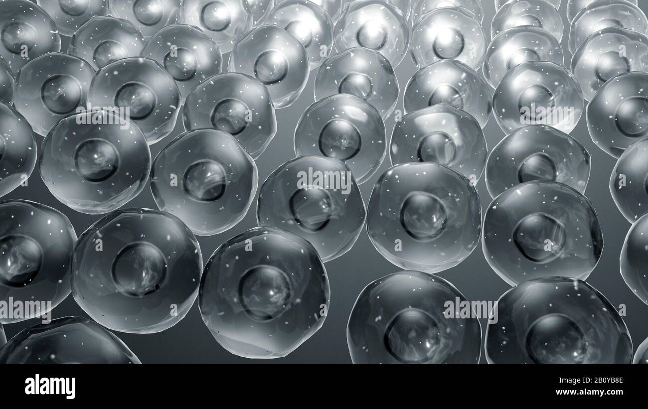 Tierische zelle 3d -Fotos und -Bildmaterial in hoher Auflösung – Alamy