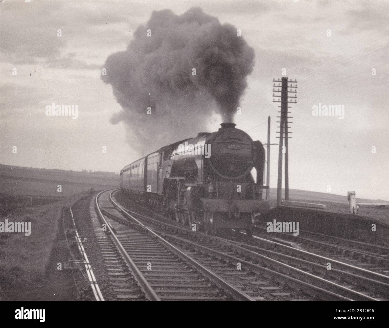 Ah pfefferkorn -Fotos und -Bildmaterial in hoher Auflösung – Alamy