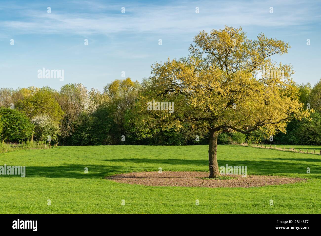 Rheinaue Friemersheim in Duisburg, Ruhrgebiet, Nordrhein-Westfalen ...