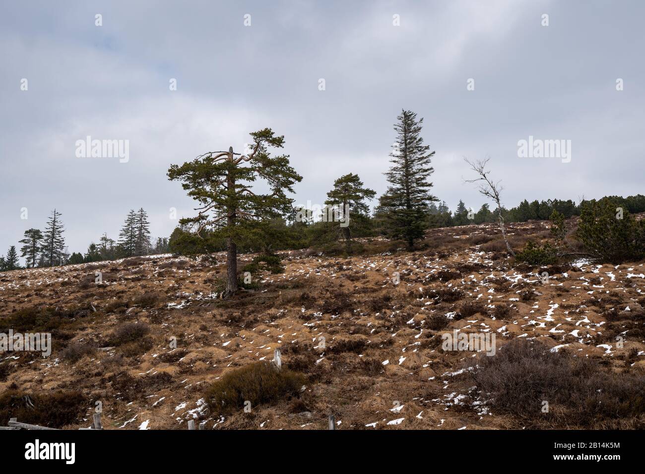 Storm lothar -Fotos und -Bildmaterial in hoher Auflösung – Alamy