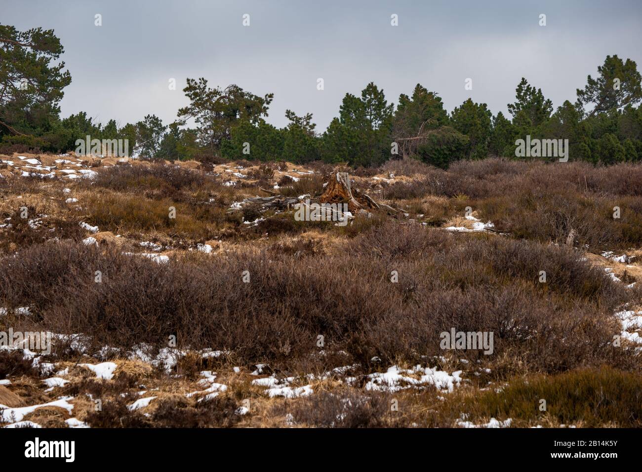 Storm Lothar Stockfotos und -bilder Kaufen - Alamy