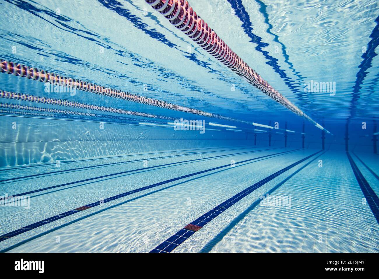 Unter wasser schwimmen -Fotos und -Bildmaterial in hoher Auflösung – Alamy
