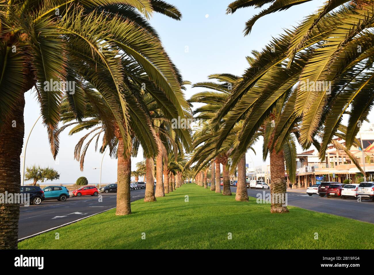 Promenade in Morro Jable, Fuerteventura mit Palmenreihen ...