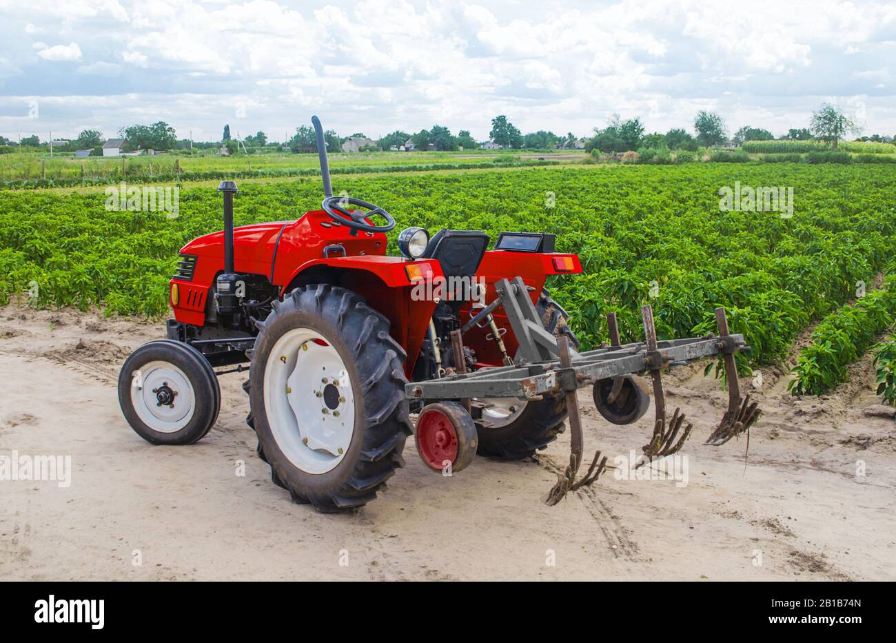 Roter Traktor mit einem Pflug auf der Plantage von Paprikapfeffer ...