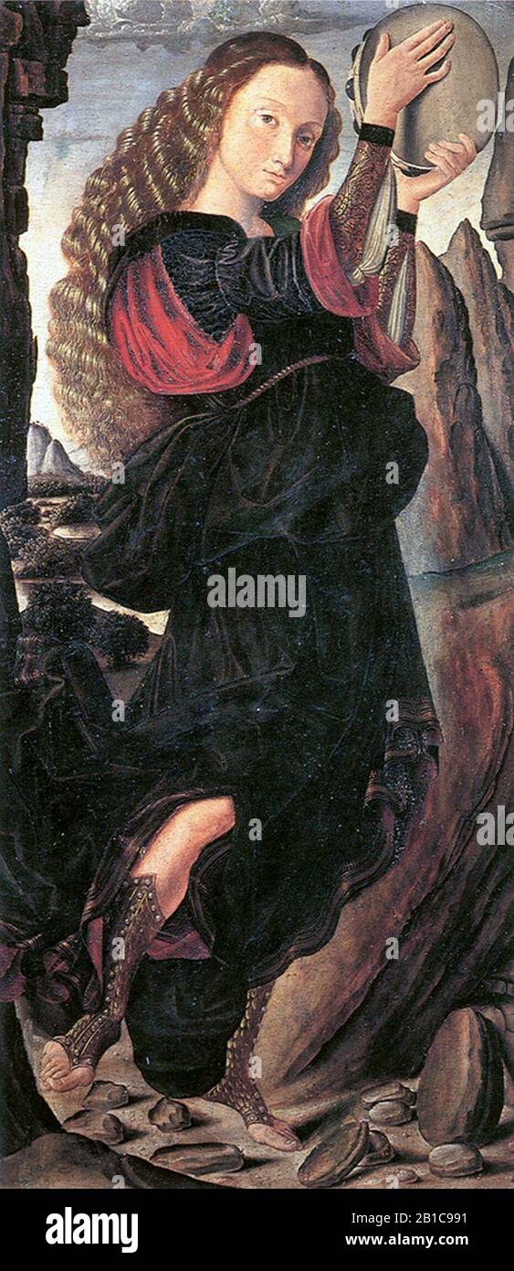 Musa erato -Fotos und -Bildmaterial in hoher Auflösung – Alamy