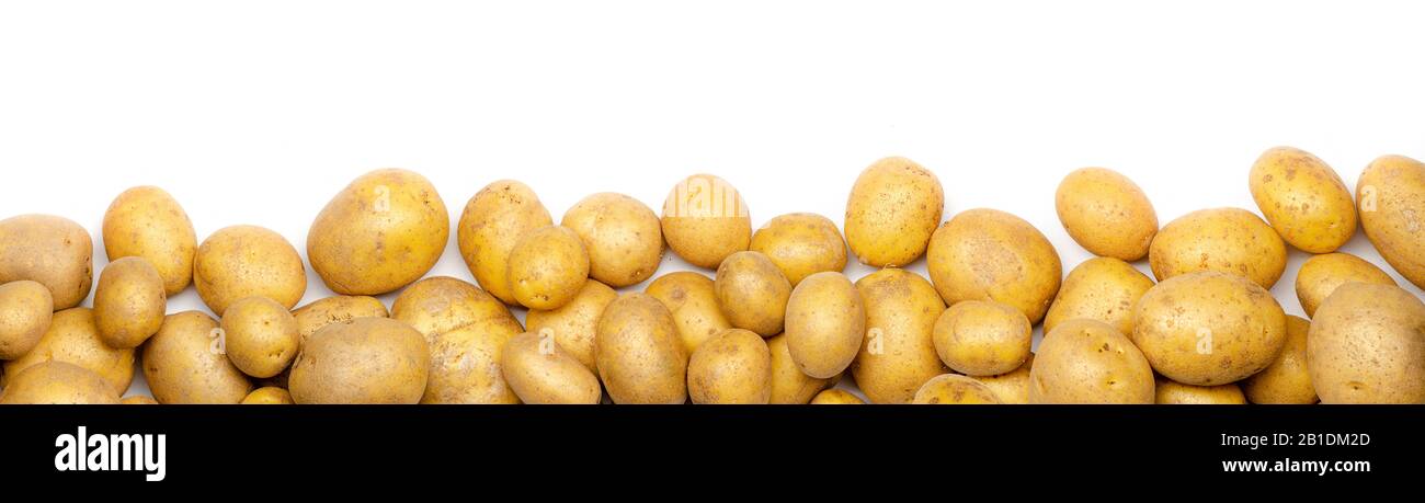 Ein Haufen Kartoffeln als Banner, Rand, Überschrift, Kopfzeile oder ...