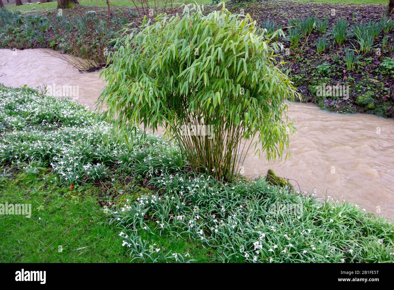 Kleiner ponton Stockfotos und -bilder Kaufen - Alamy