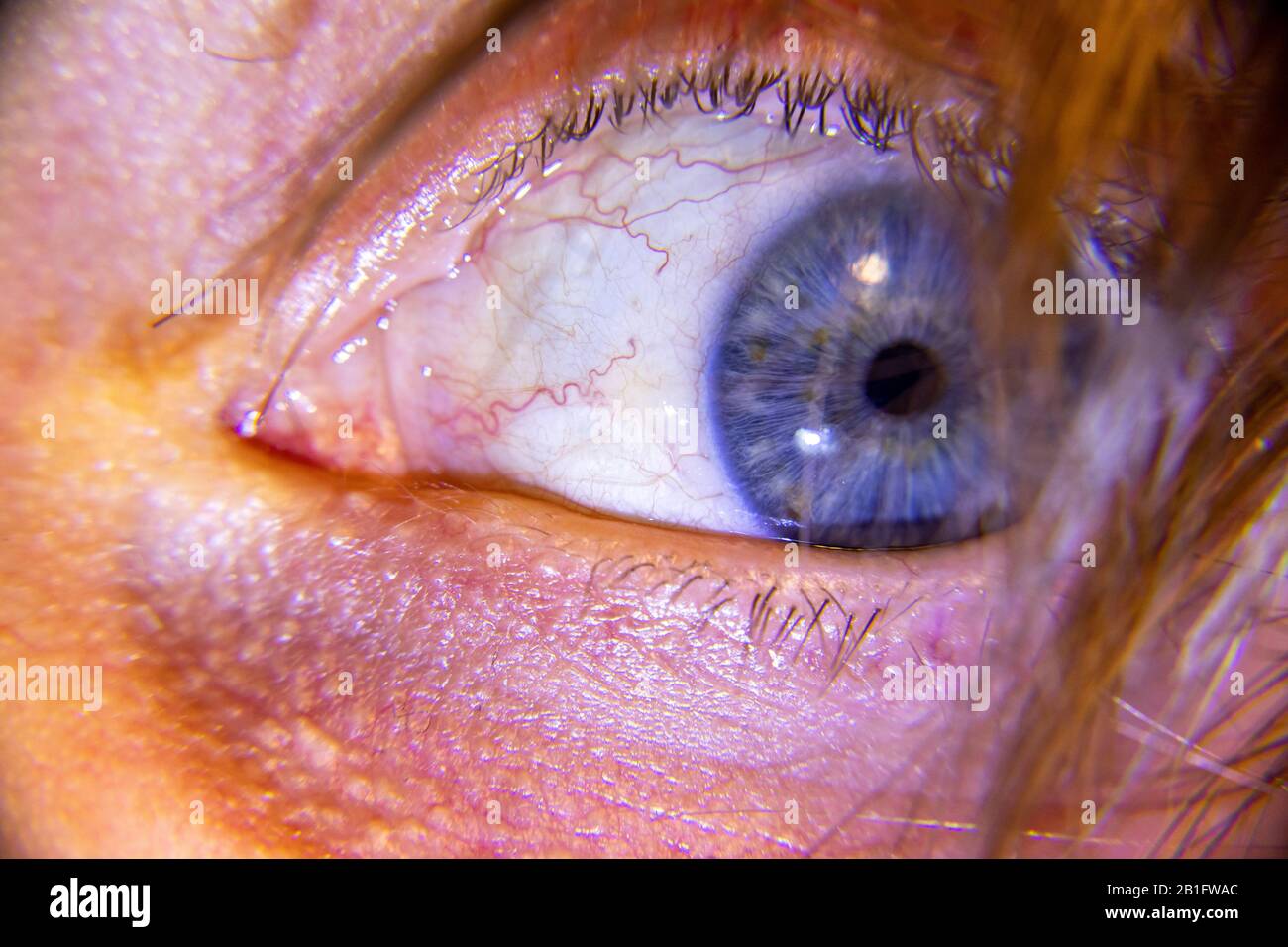 Auge gucken -Fotos und -Bildmaterial in hoher Auflösung – Alamy