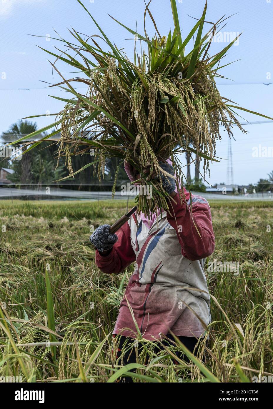 Lhokseumawe, Aceh, Indonesien. Februar 2020. Ein indonesischer Arbeiter ...
