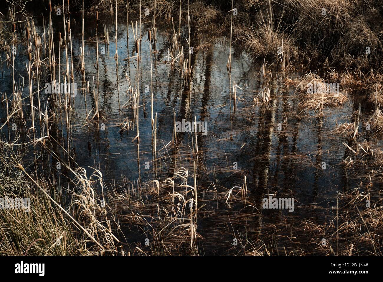 Cors caron -Fotos und -Bildmaterial in hoher Auflösung – Alamy