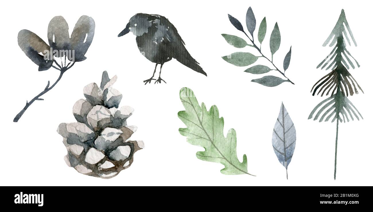 Niedliche Waldsymbole. Skandinavische Wasserfarbsymbole. Darstellung ...