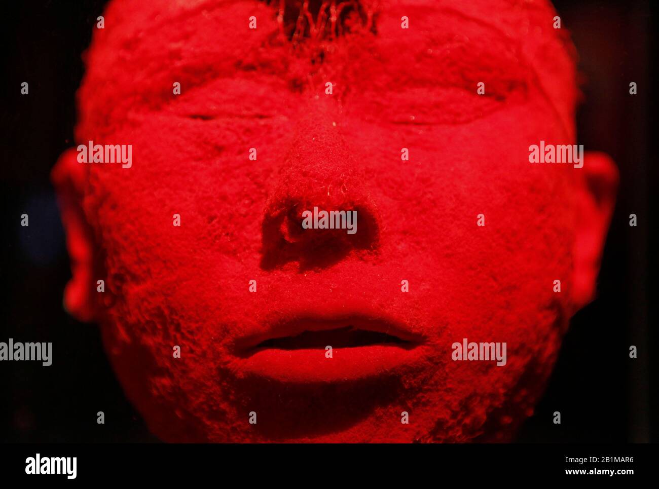 Basel, Schweiz - 26. August 2011: Ausstellung Körperwelten, Ausstellung ...