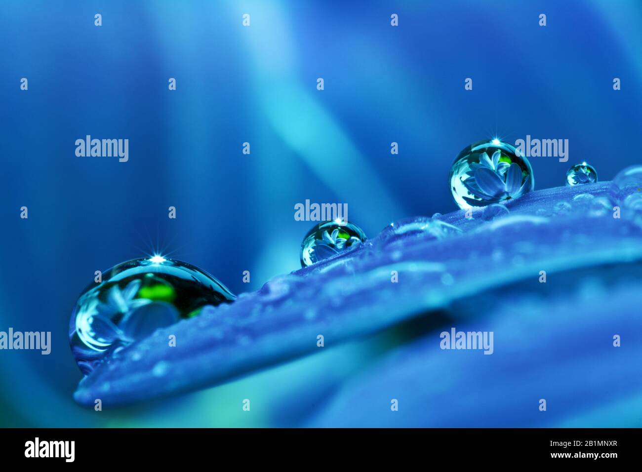 Klassisches blau -Fotos und -Bildmaterial in hoher Auflösung – Alamy