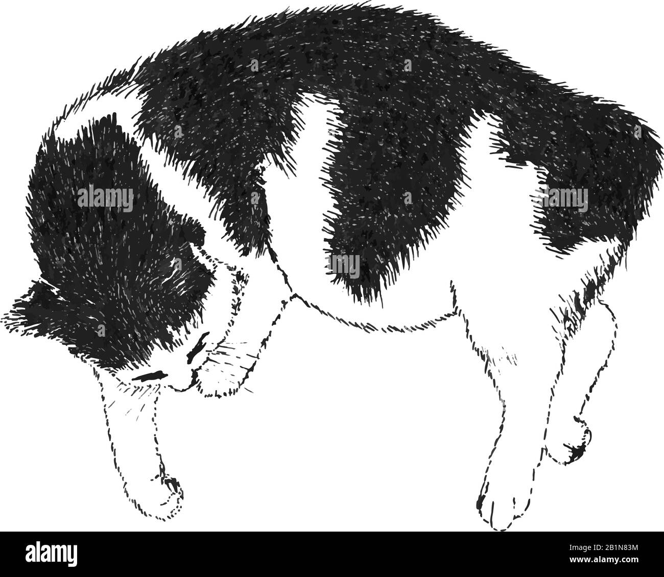 Liegende katze zeichnen Schwarzweiß-Stockfotos und -bilder - Alamy