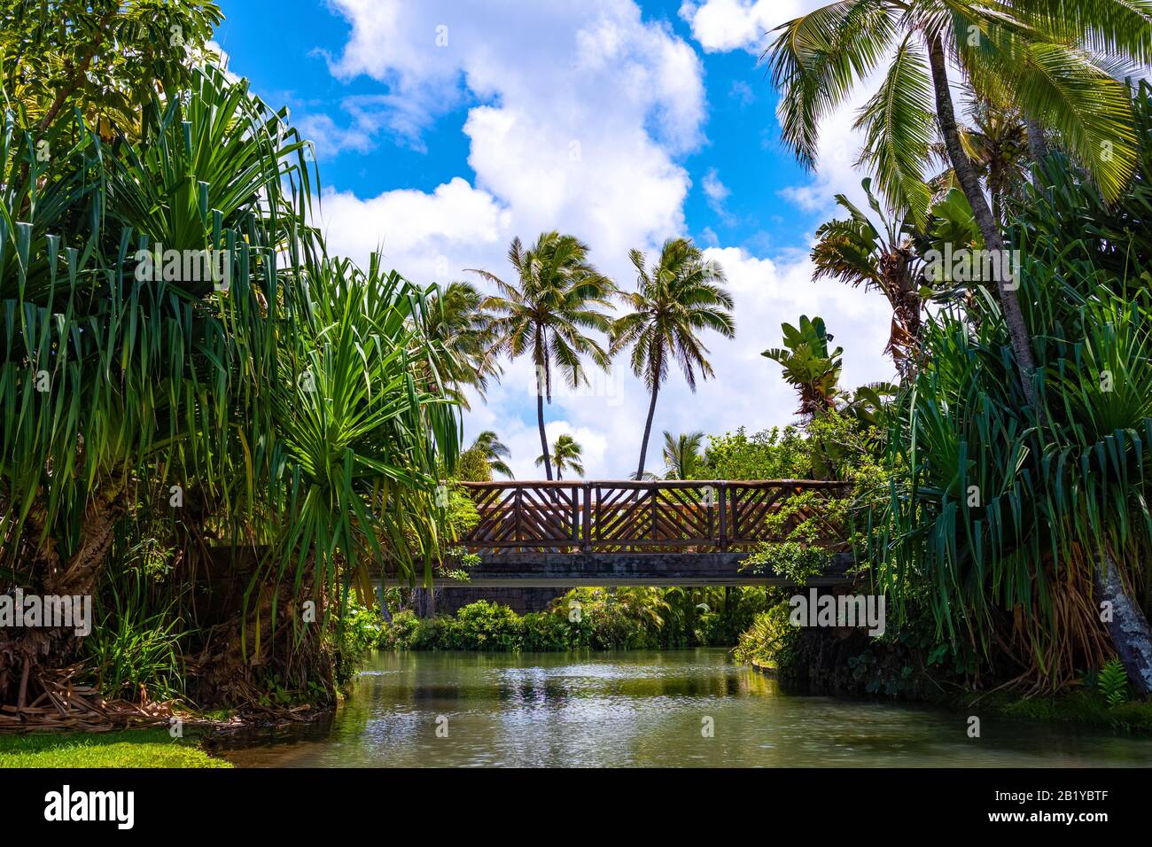 Polynesische pflanze -Fotos und -Bildmaterial in hoher Auflösung – Alamy