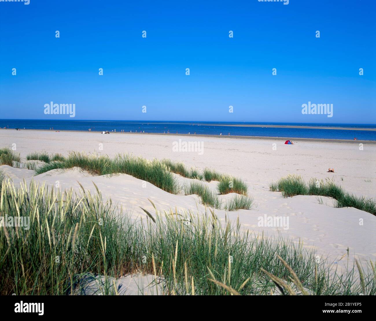 Insel Terschelling Stockfotos und -bilder Kaufen - Alamy