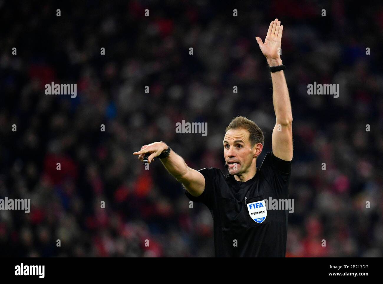 Schiedsrichter Sascha Stegemann, Geste, Freistoß, Allianz Arena ...
