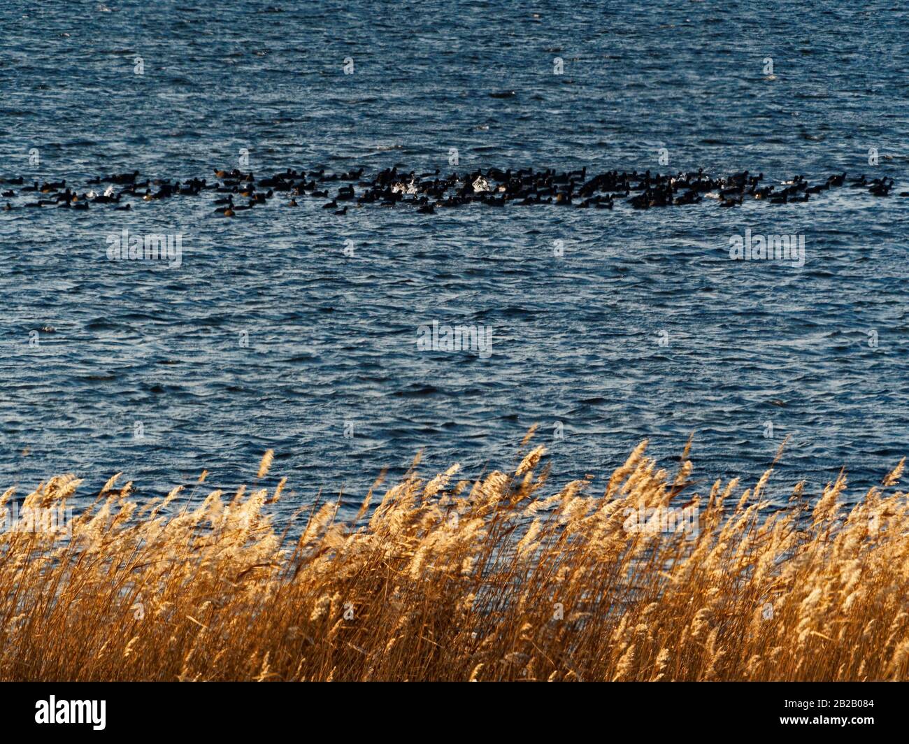 Hel peninsula poland -Fotos und -Bildmaterial in hoher Auflösung – Alamy
