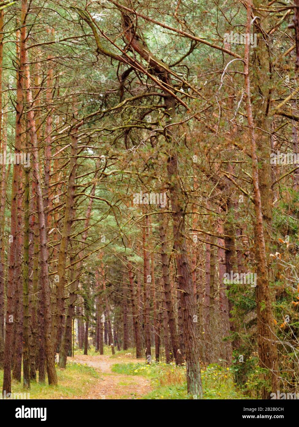 Hel halbinsel polen ostsee -Fotos und -Bildmaterial in hoher Auflösung ...