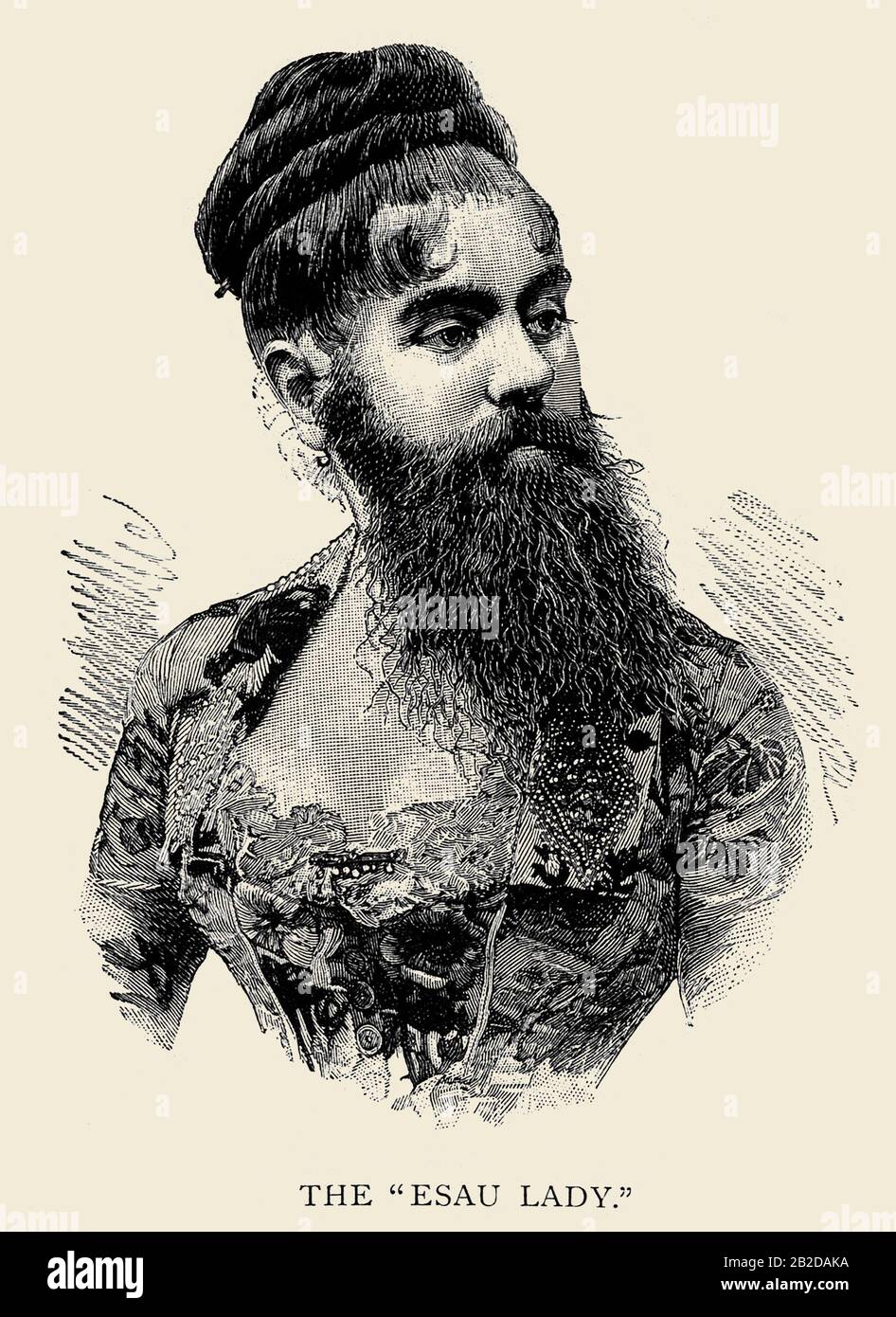 Dame esau -Fotos und -Bildmaterial in hoher Auflösung – Alamy