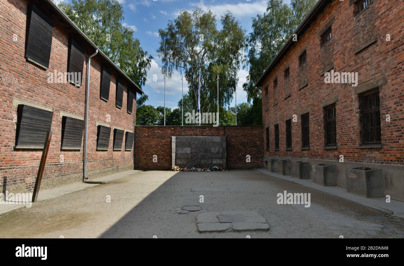 Schwarze Wand, Erschiessungen, Block 11, Stammlager ich ...