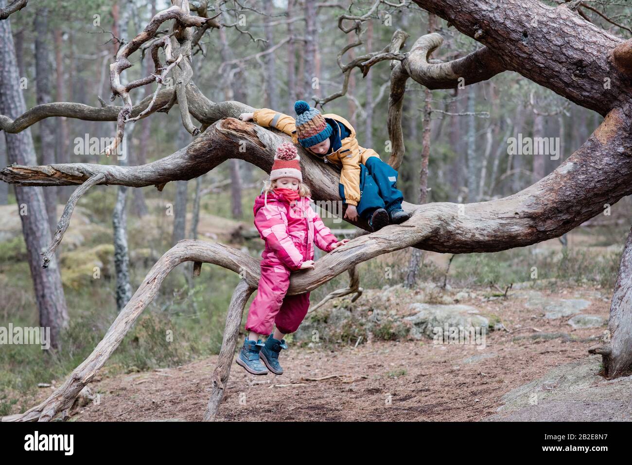 Kinder Klettern Auf Den Baum Stockfotos und -bilder Kaufen - Alamy