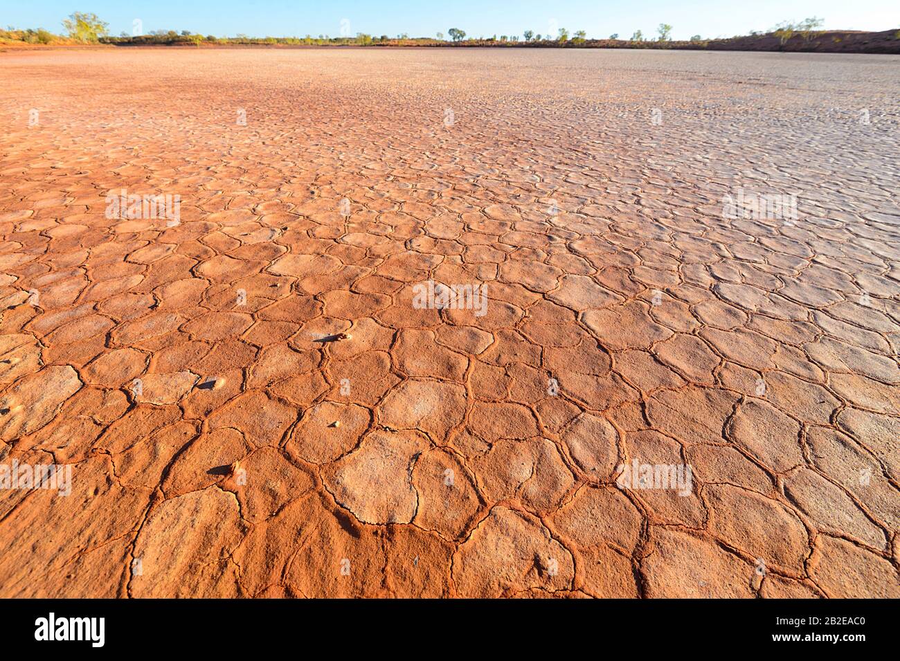 Muster auf der Kruste eines ausgetrockneten Tonnapfs im australischen ...