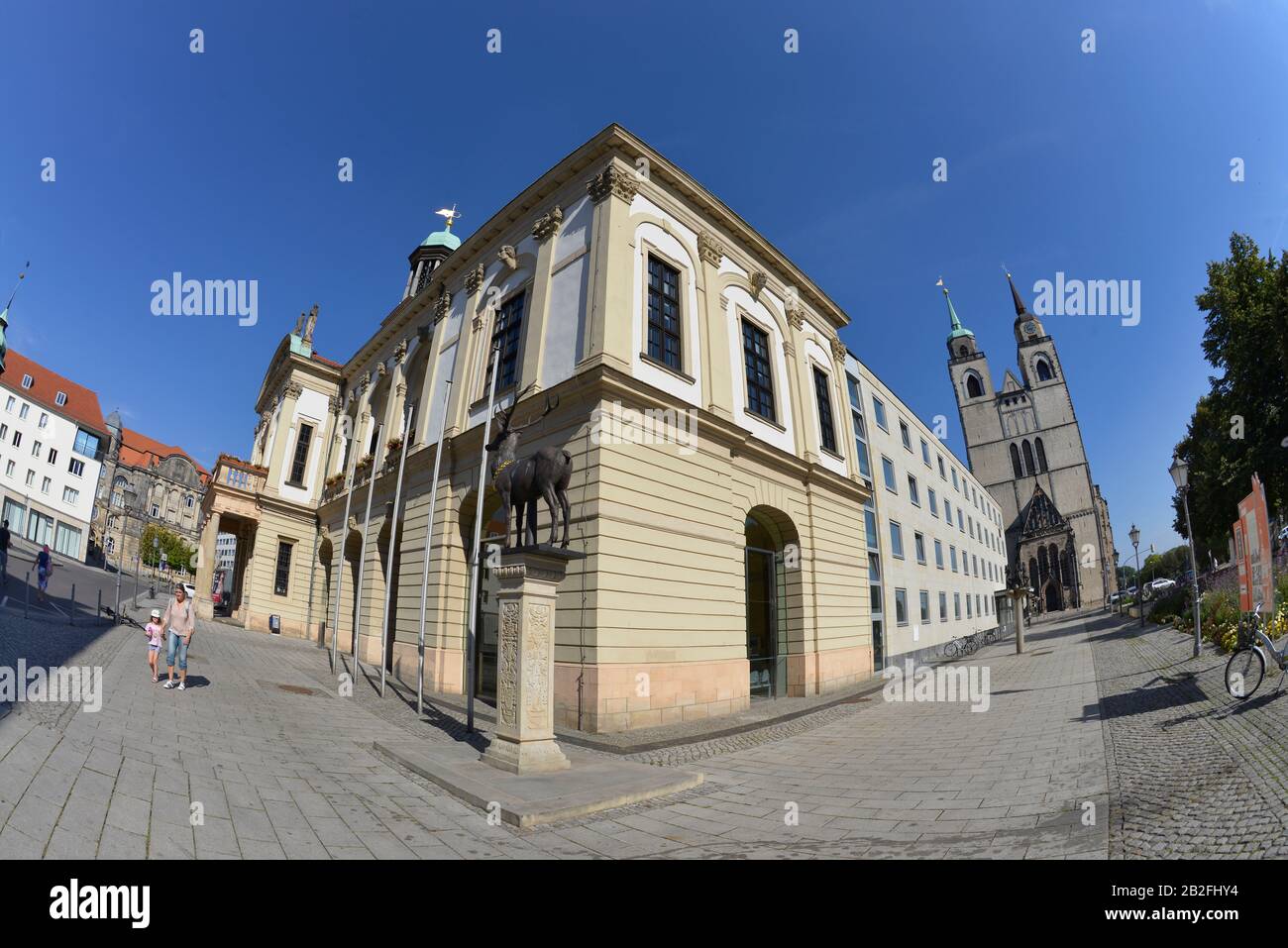 Rathaus magdeburg -Fotos und -Bildmaterial in hoher Auflösung – Alamy