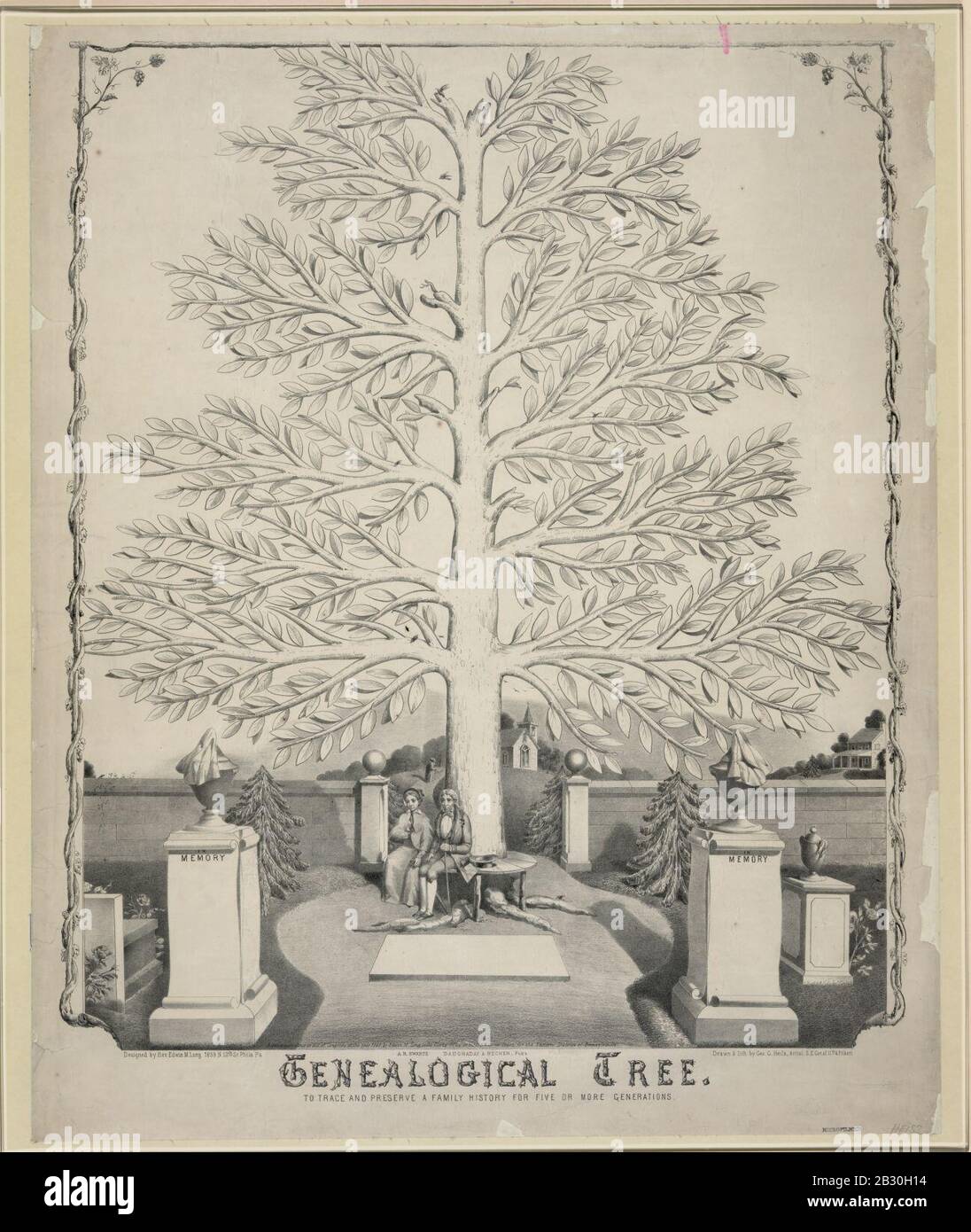 Genealogischen baum -Fotos und -Bildmaterial in hoher Auflösung – Alamy