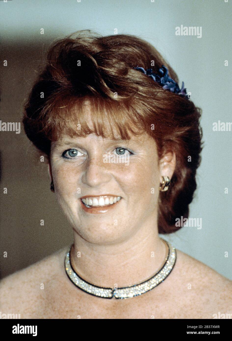 Hrh duchess of york -Fotos und -Bildmaterial in hoher Auflösung – Alamy