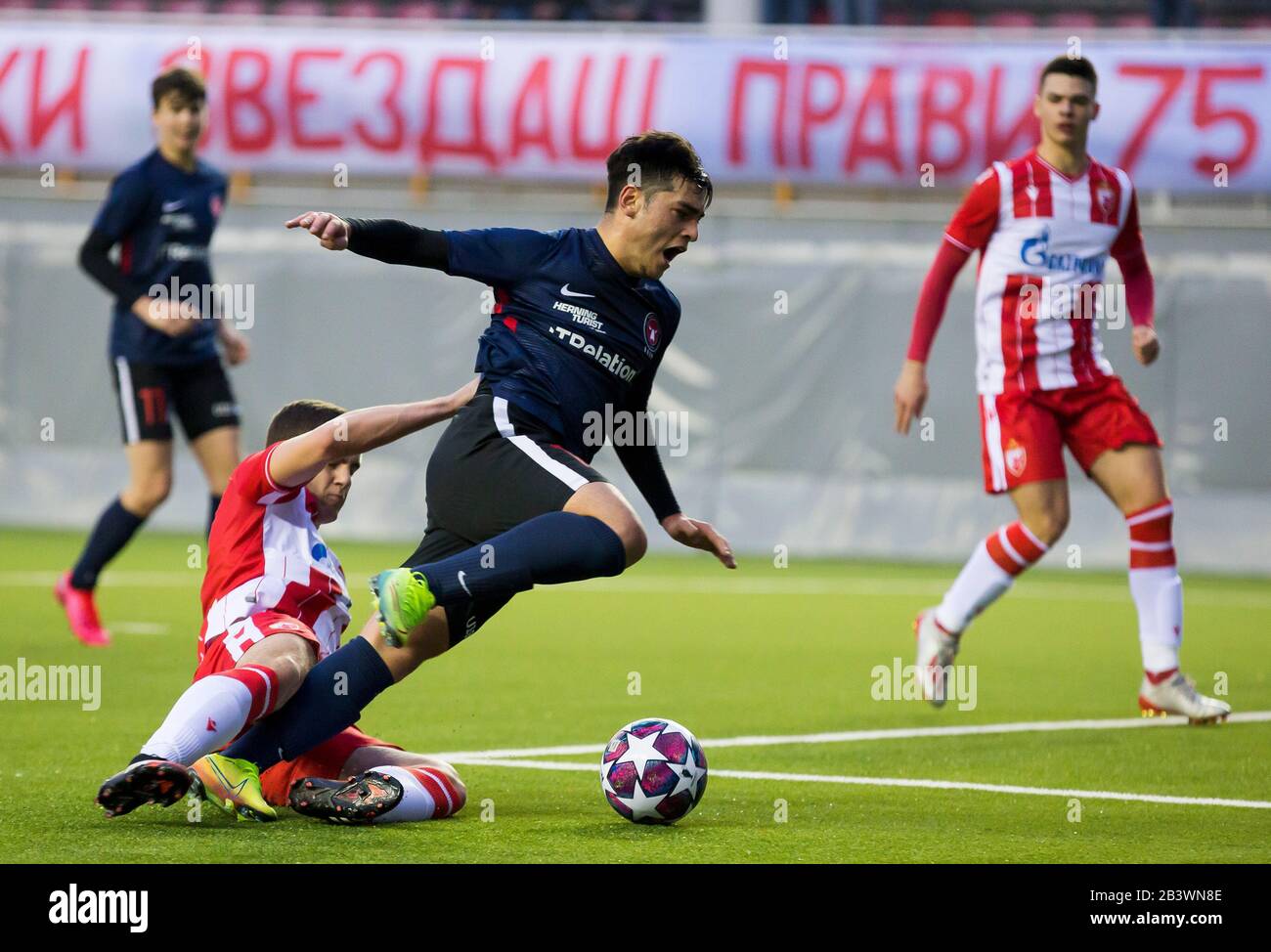 Aral simsir -Fotos und -Bildmaterial in hoher Auflösung – Alamy
