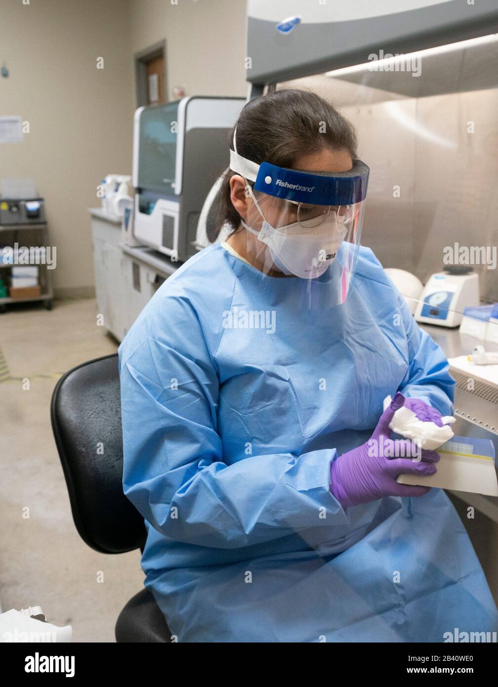 Der Mikrobiologe Chelsey Tiger des US-Bundesstaats Texas Department of ...