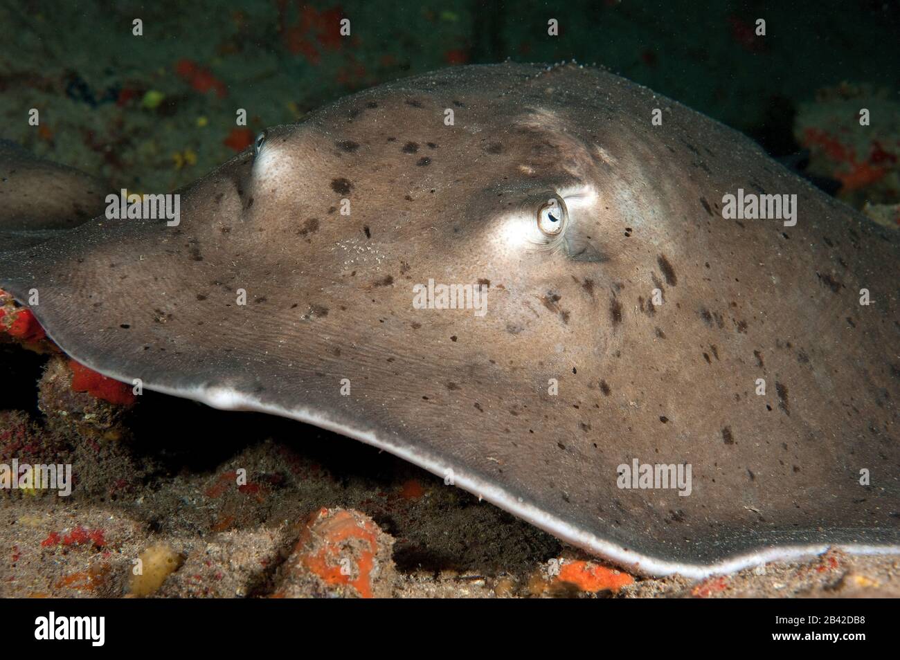 Achtung gefahrlich -Fotos und -Bildmaterial in hoher Auflösung – Alamy