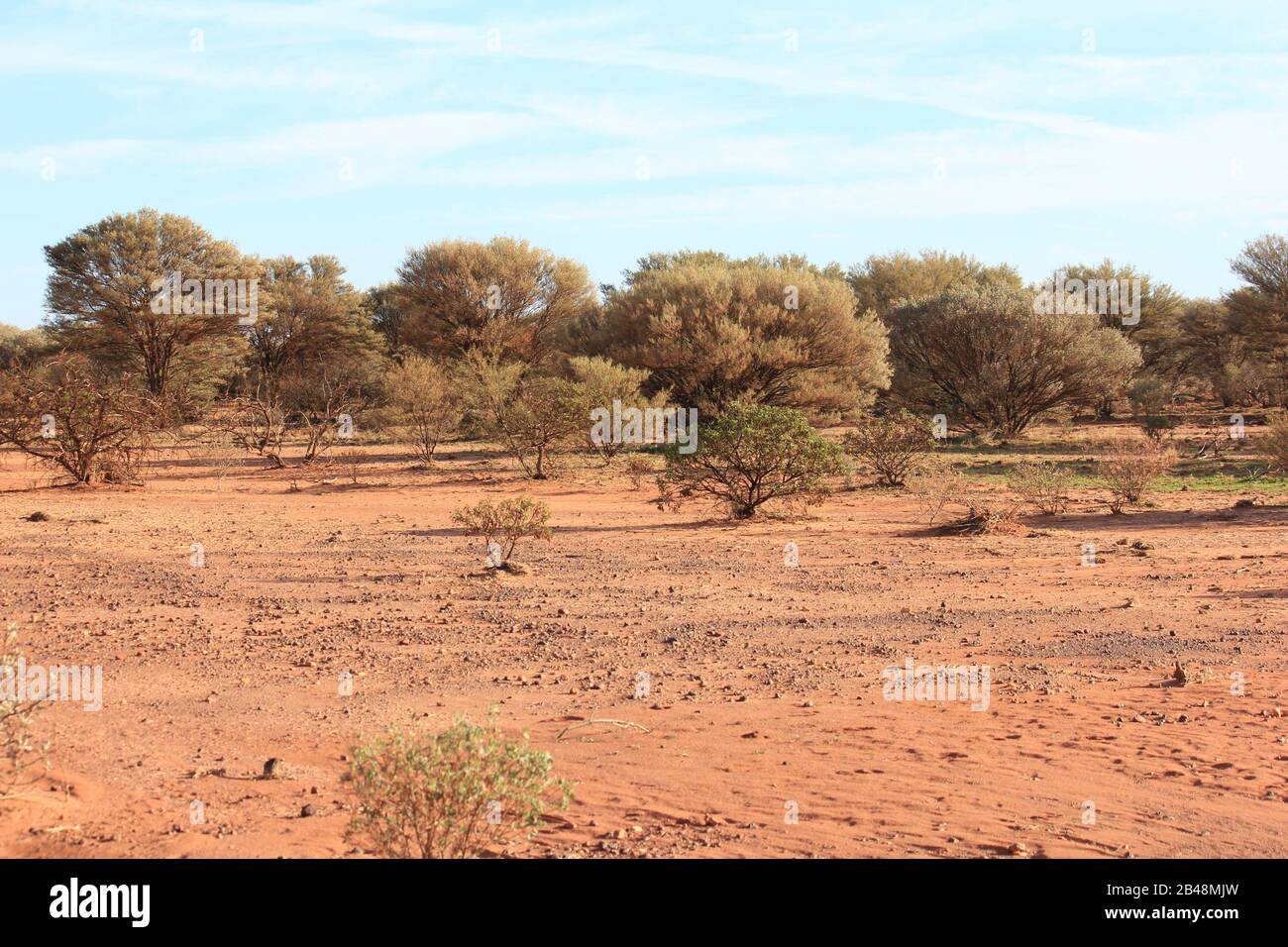 Little sandy desert australia -Fotos und -Bildmaterial in hoher ...