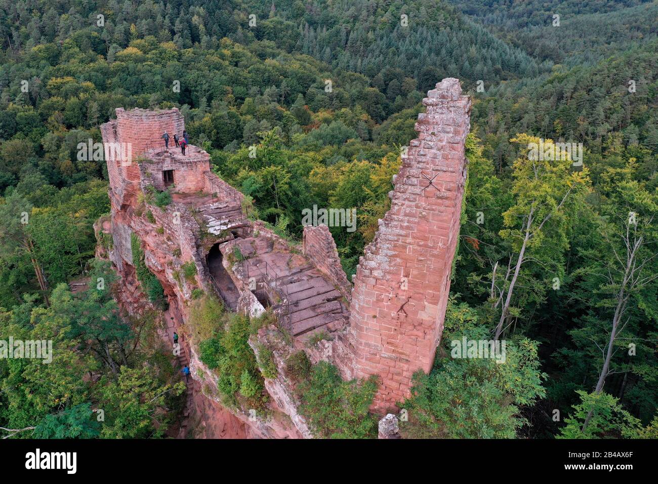Frankreich, Bas Rhin, regionaler Naturpark der Nordvogesen ...