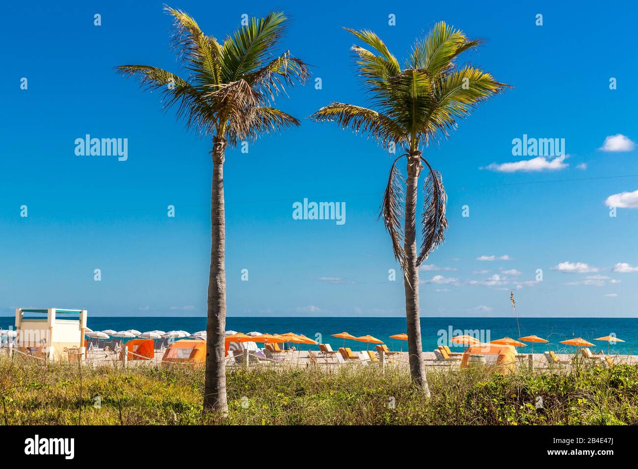 Palmen sind strand -Fotos und -Bildmaterial in hoher Auflösung – Alamy