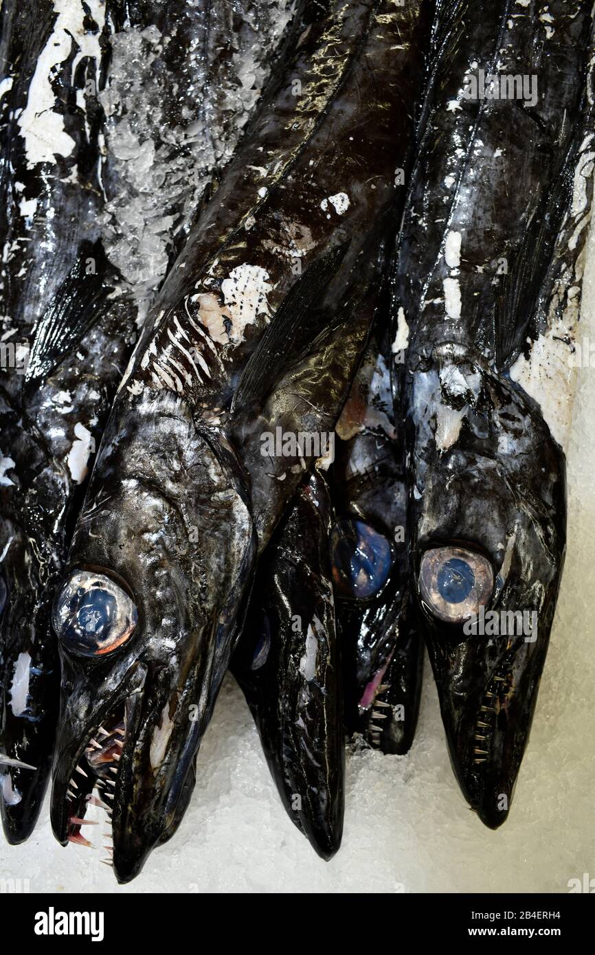 Black Sword Fish Stockfotos und -bilder Kaufen - Alamy