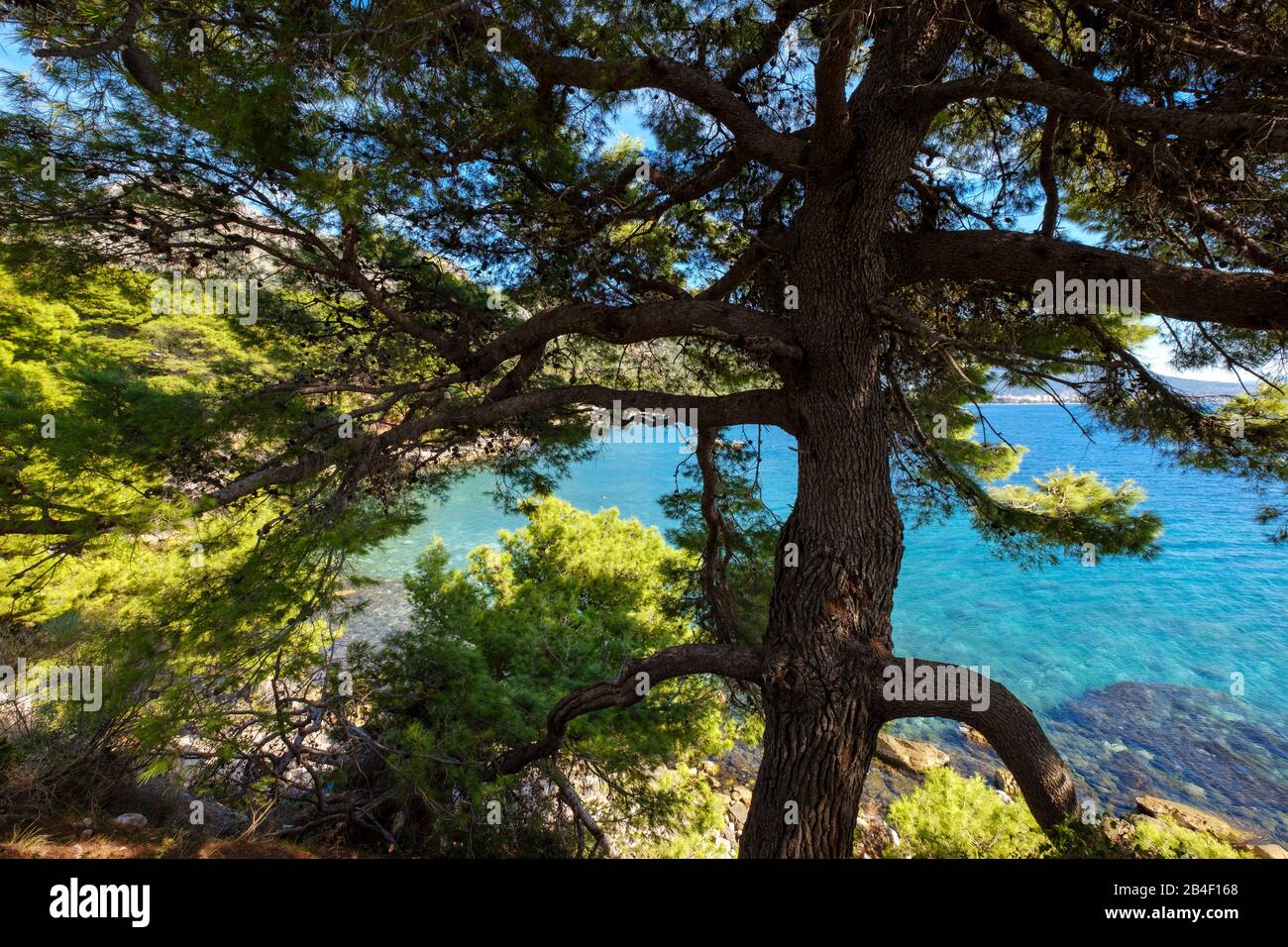 Ratac beach -Fotos und -Bildmaterial in hoher Auflösung – Alamy