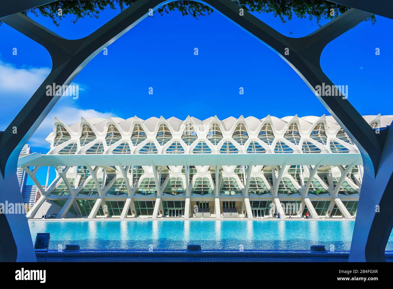 Felipe Valencia Stockfotos und -bilder Kaufen - Alamy
