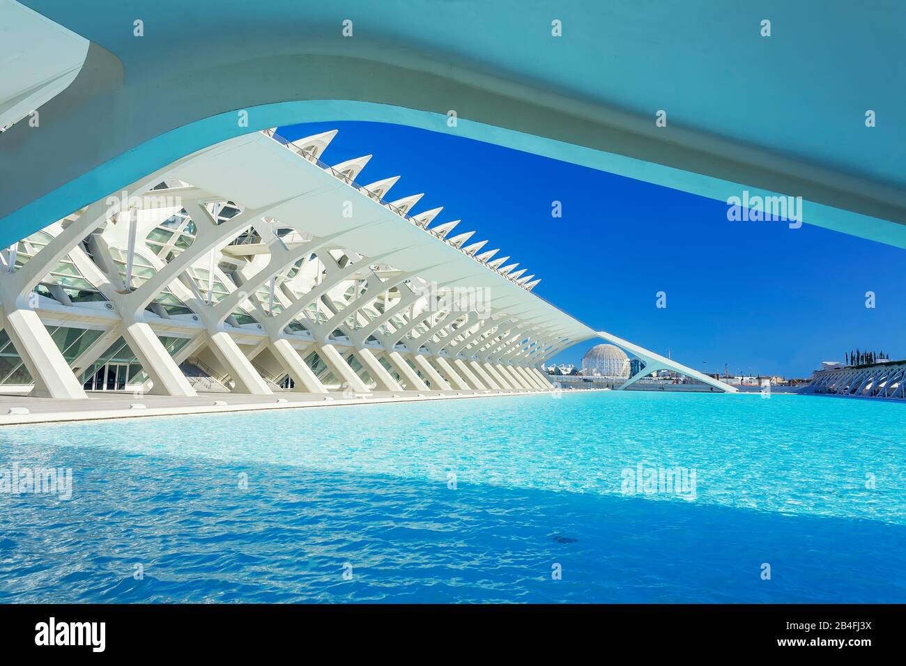 Principe felipe science museum valencia Stockfotos und -bilder Kaufen ...