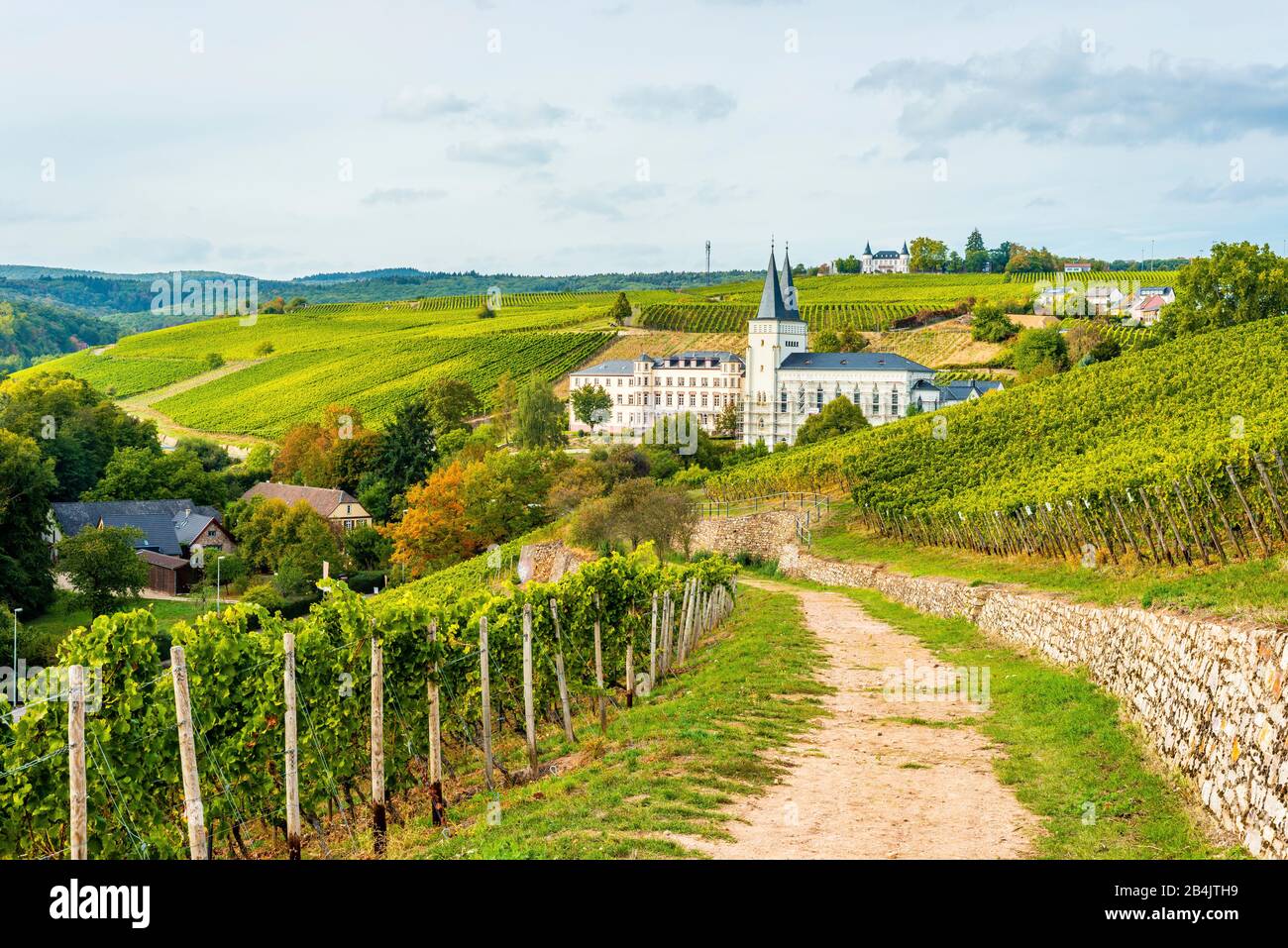 Johannisberg palast im rheingau -Fotos und -Bildmaterial in hoher ...