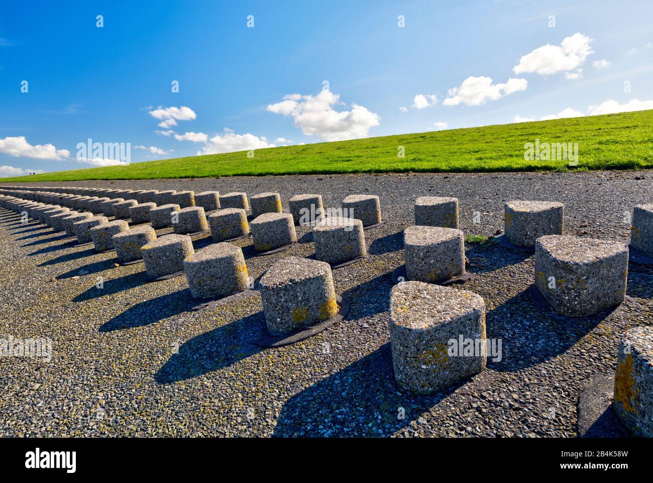 Deich, Norddeich, Sommer, Struktur, Norden, Nordsee, Wattenmeer ...