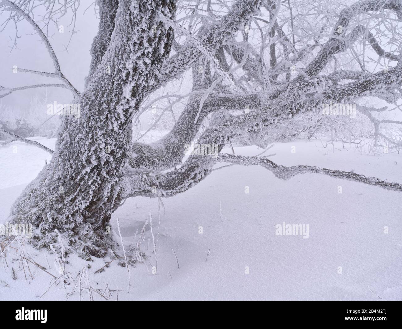 Bayerischer Rhoen Stockfotos und -bilder Kaufen - Alamy