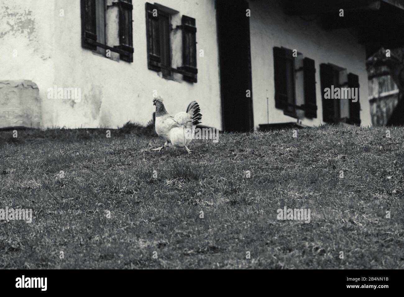 Hof bauernhaus -Fotos und -Bildmaterial in hoher Auflösung – Alamy