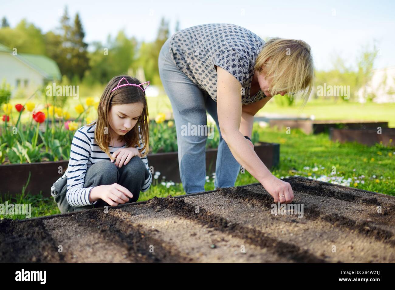 Kinder pflanzen setzlinge Stockfotos und -bilder Kaufen - Alamy